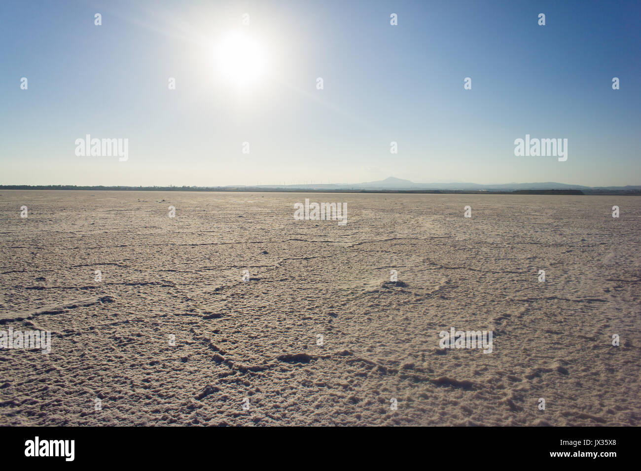 Backlit crusts of sea salt at Larnaca Salt Lake in Cyprus Stock Photo ...