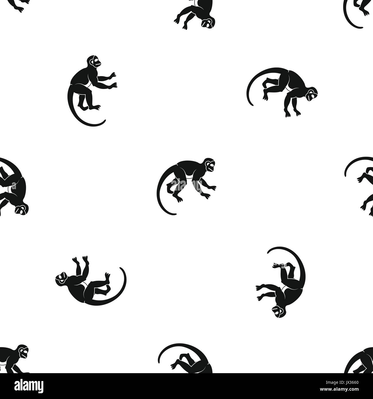 Capuchin black Black and White Stock Photos & Images - Alamy