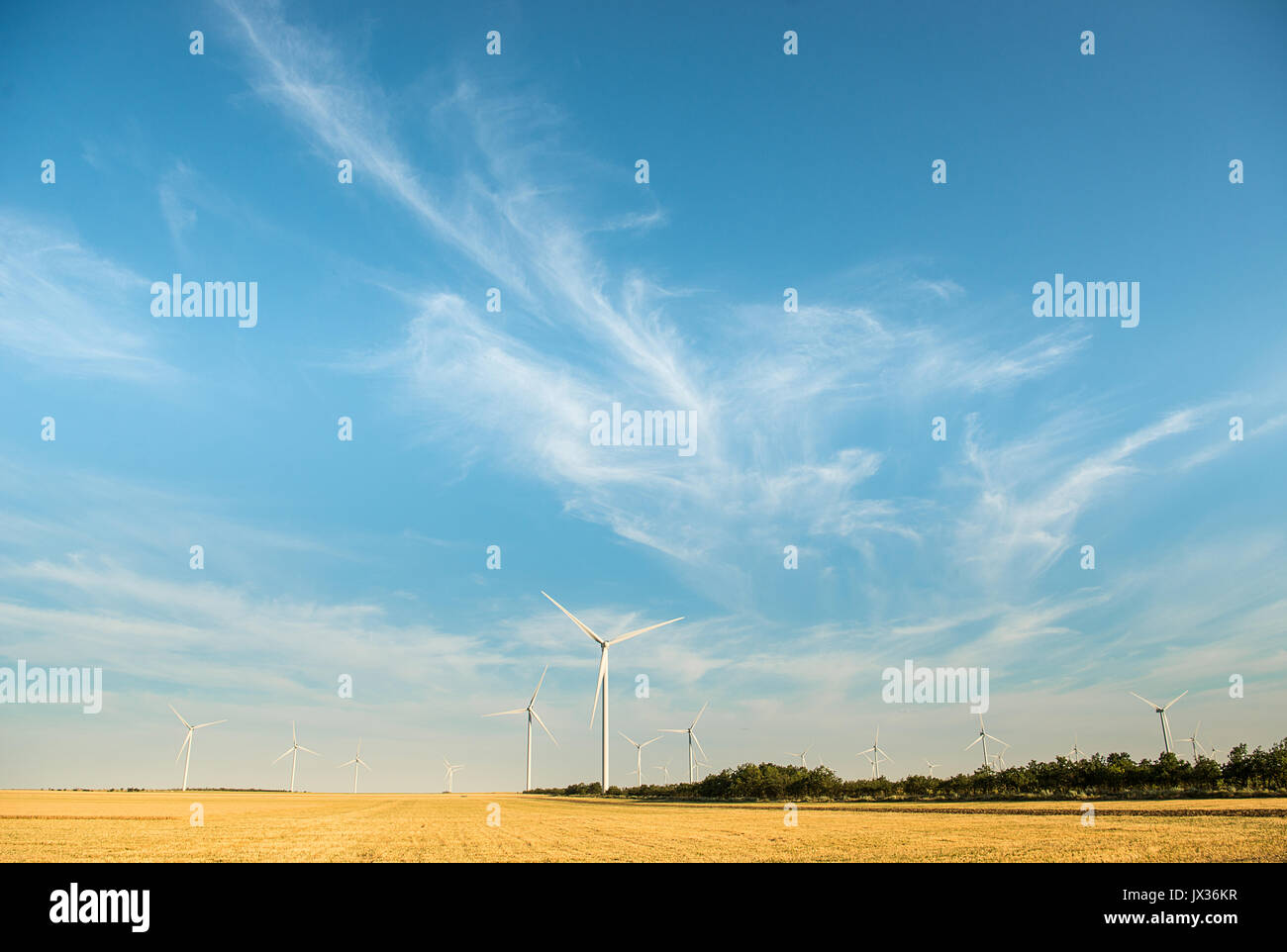 Wild mill in field with blue sky. Power and energy Stock Photo - Alamy