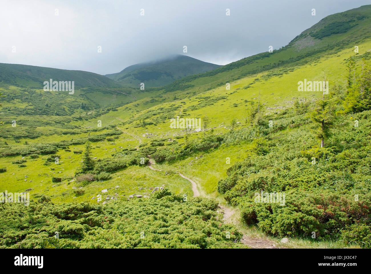 mountain scenery in Carpathians Stock Photo - Alamy