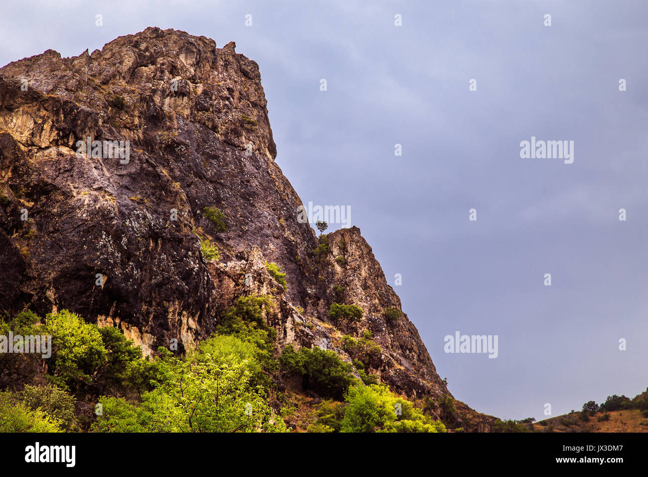 In a rock crevice hi-res stock photography and images - Alamy