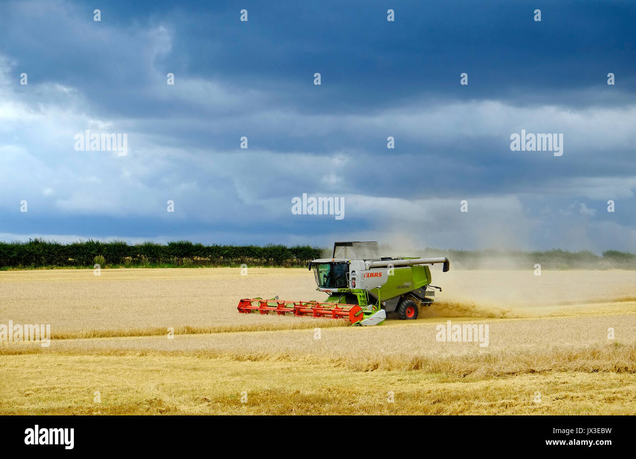 Harvesting wheat hi-res stock photography and images - Alamy