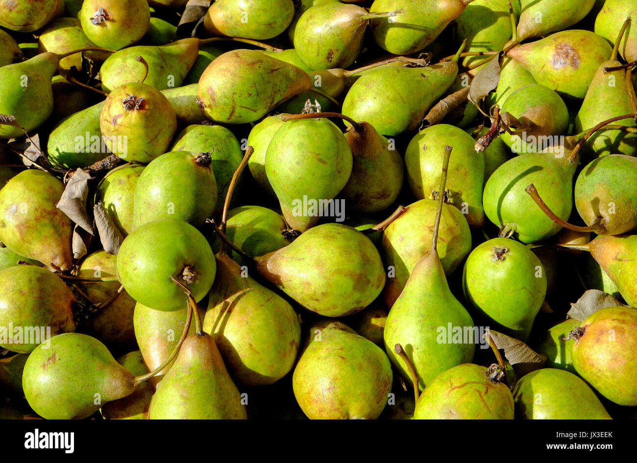 English sizes hi-res stock photography and images - Alamy