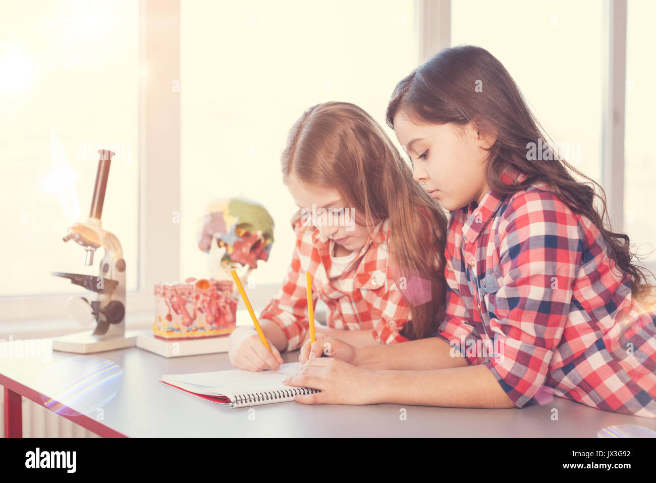 Two diligent girls drawing model of skull Stock Photo - Alamy
