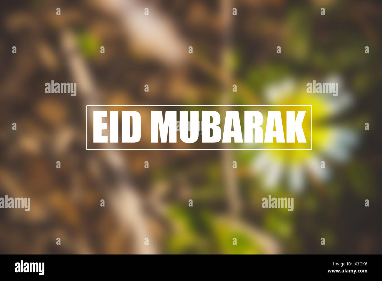 Eid Mubarak Cards In English