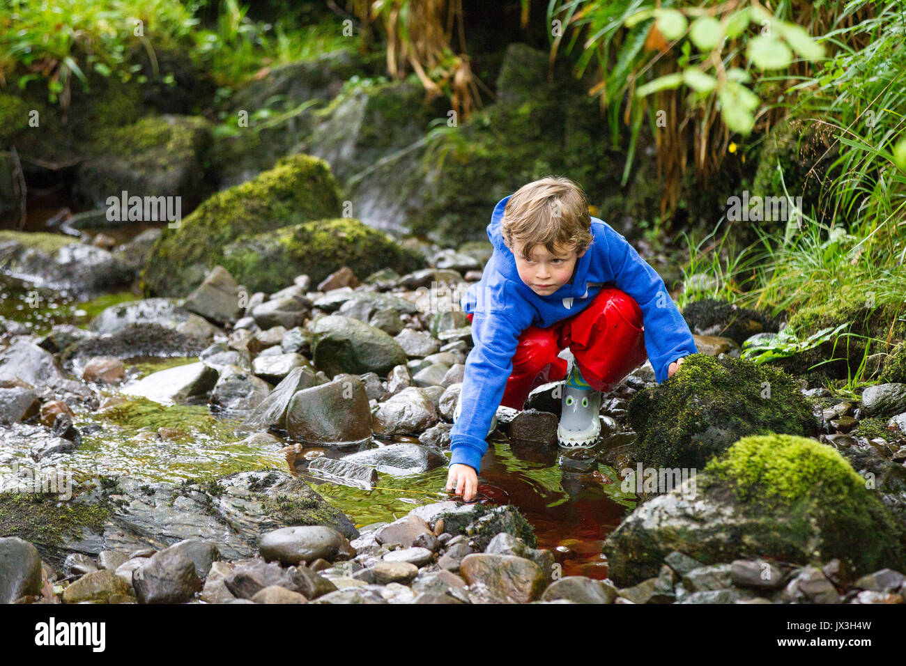 Children exploring nature hi-res stock photography and images - Alamy