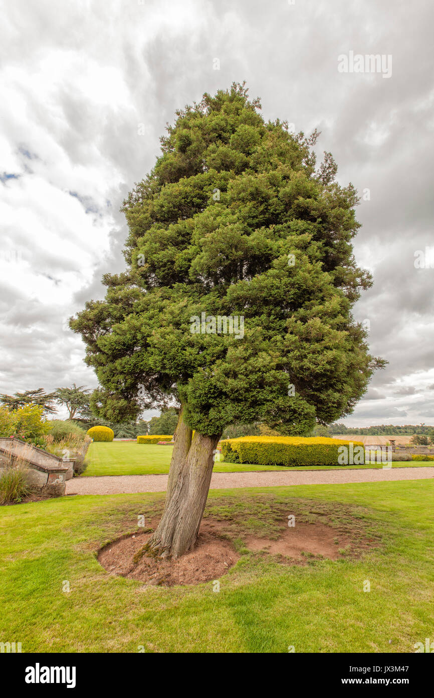 Alone grass hi-res stock photography and images - Alamy