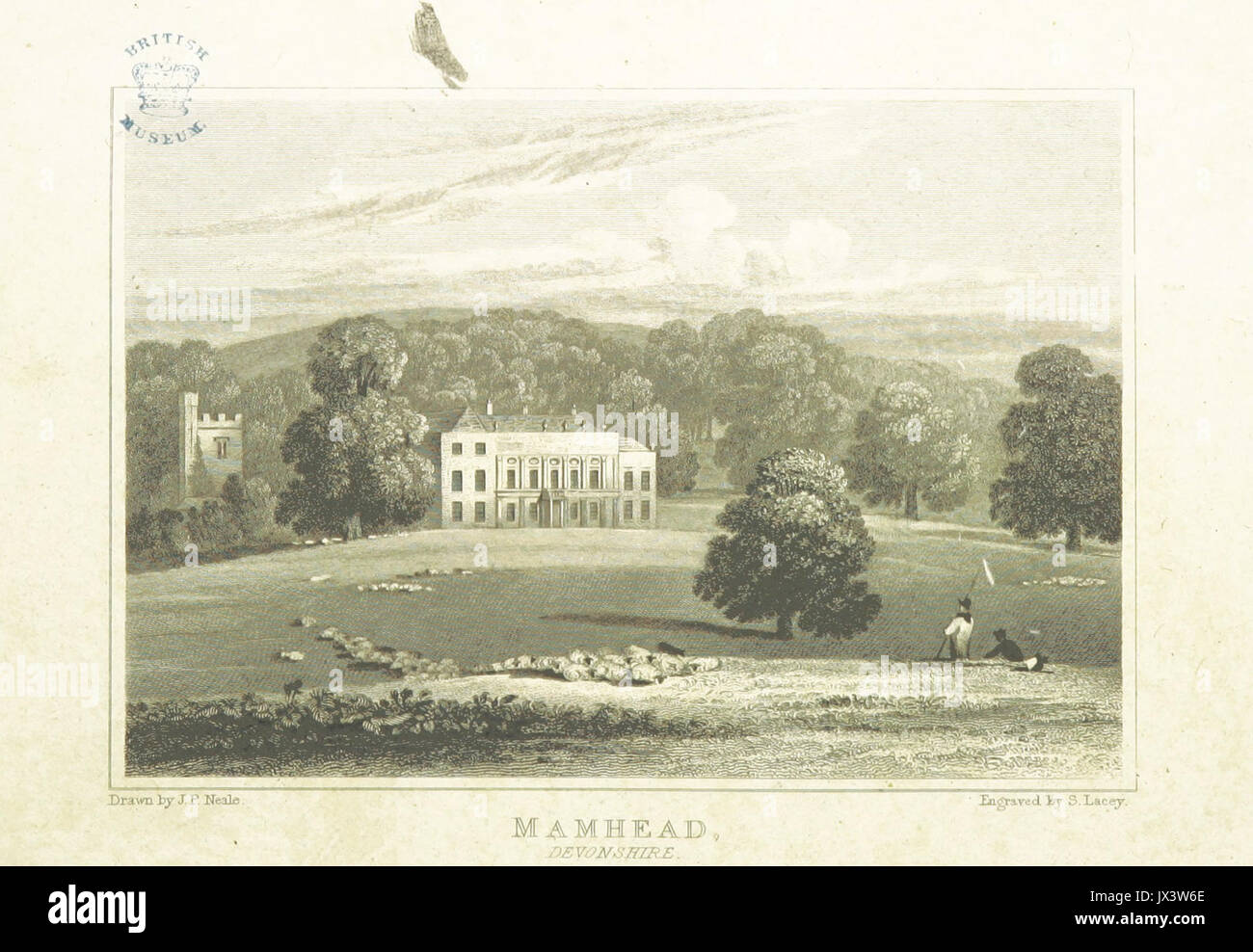 Mamhead hi-res stock photography and images - Alamy