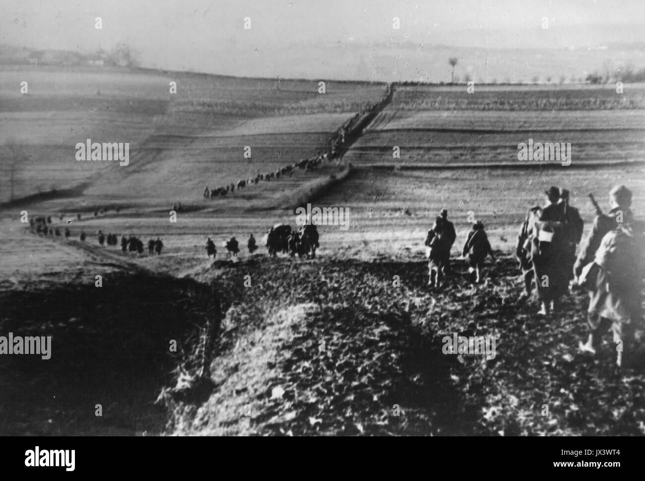 14 slovenska udarna divizija NOVJ Stock Photo - Alamy