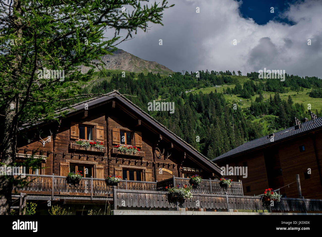 traditional alpine log buildings at La fouly in the swiss alps ...