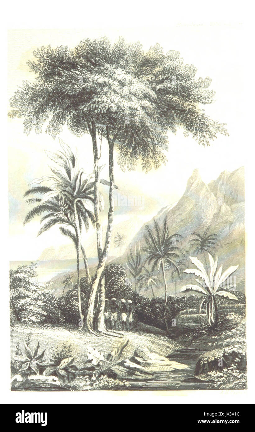 HEINZELMANN(1851) 06 402 Borneo Stock Photo - Alamy