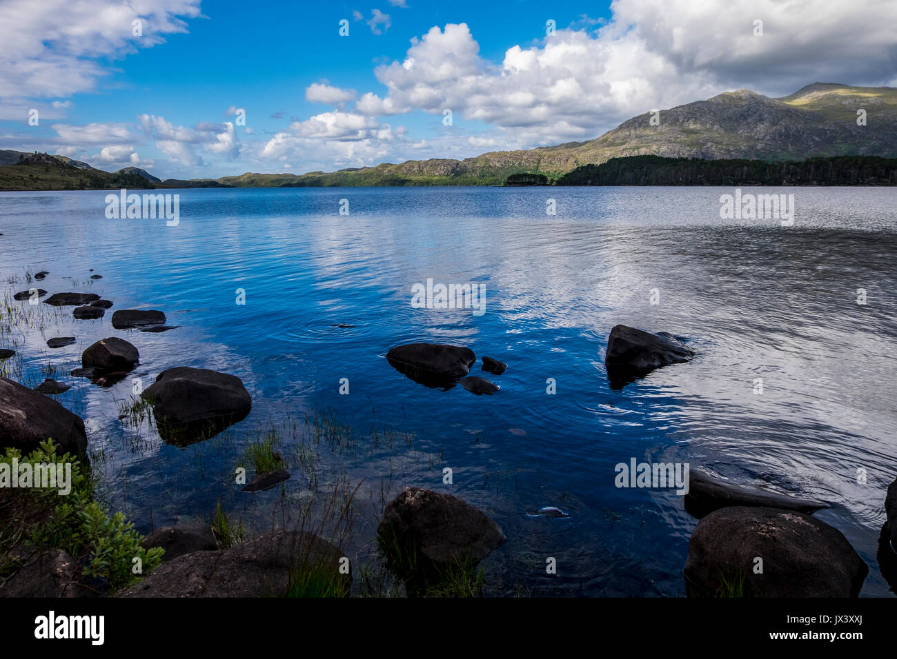 Marie bacon hi-res stock photography and images - Alamy