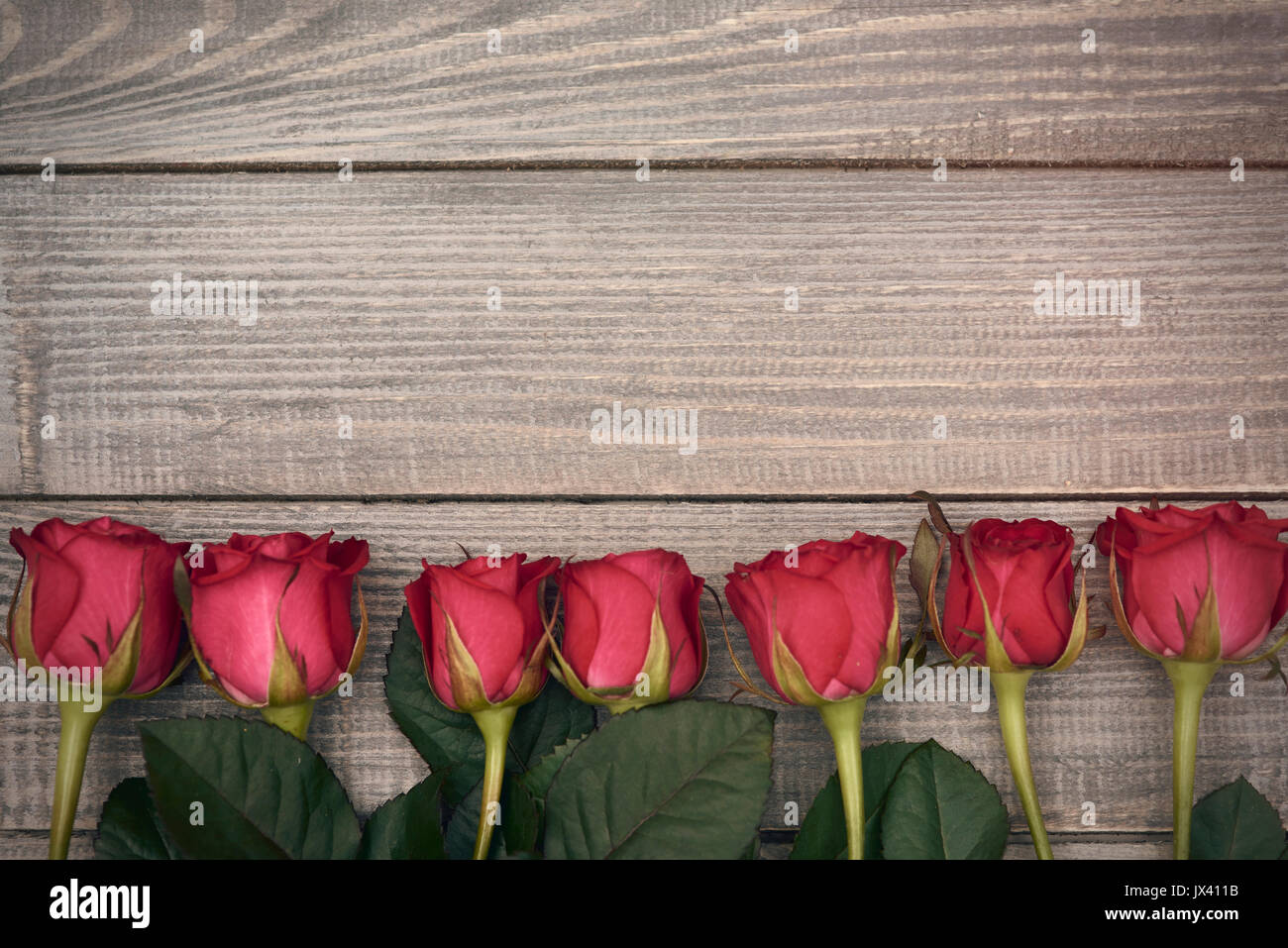 Old cut red roses hi-res stock photography and images - Alamy