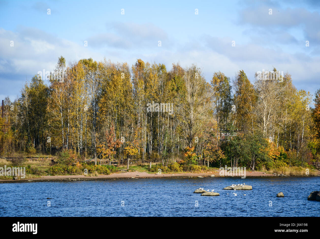 Vyborg lake forest hi-res stock photography and images - Alamy