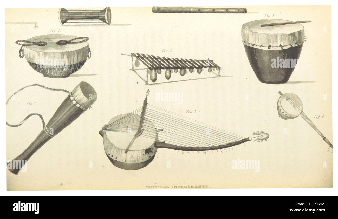 GRAY(1825) p340 Musical Instruments Stock Photo - Alamy