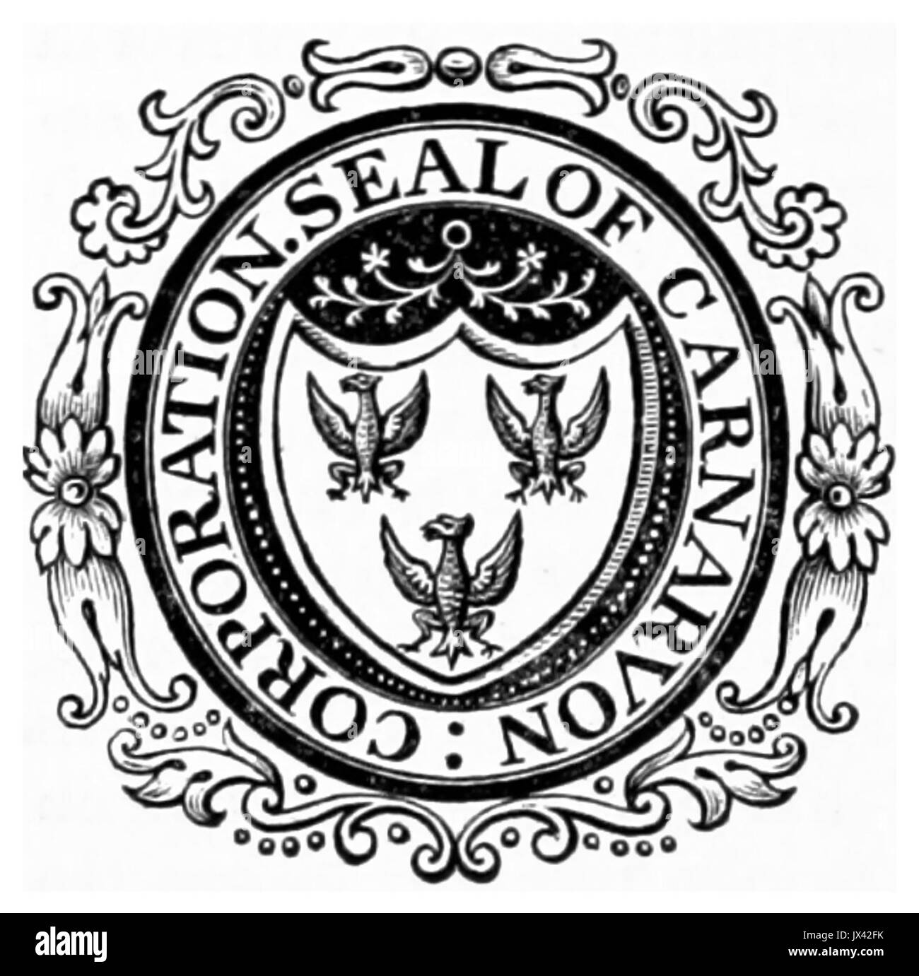 Welsh seal not animal hi-res stock photography and images - Alamy
