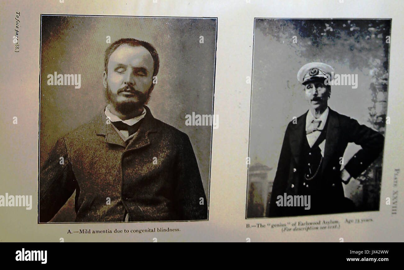 Amentia High Resolution Stock Photography and Images - Alamy