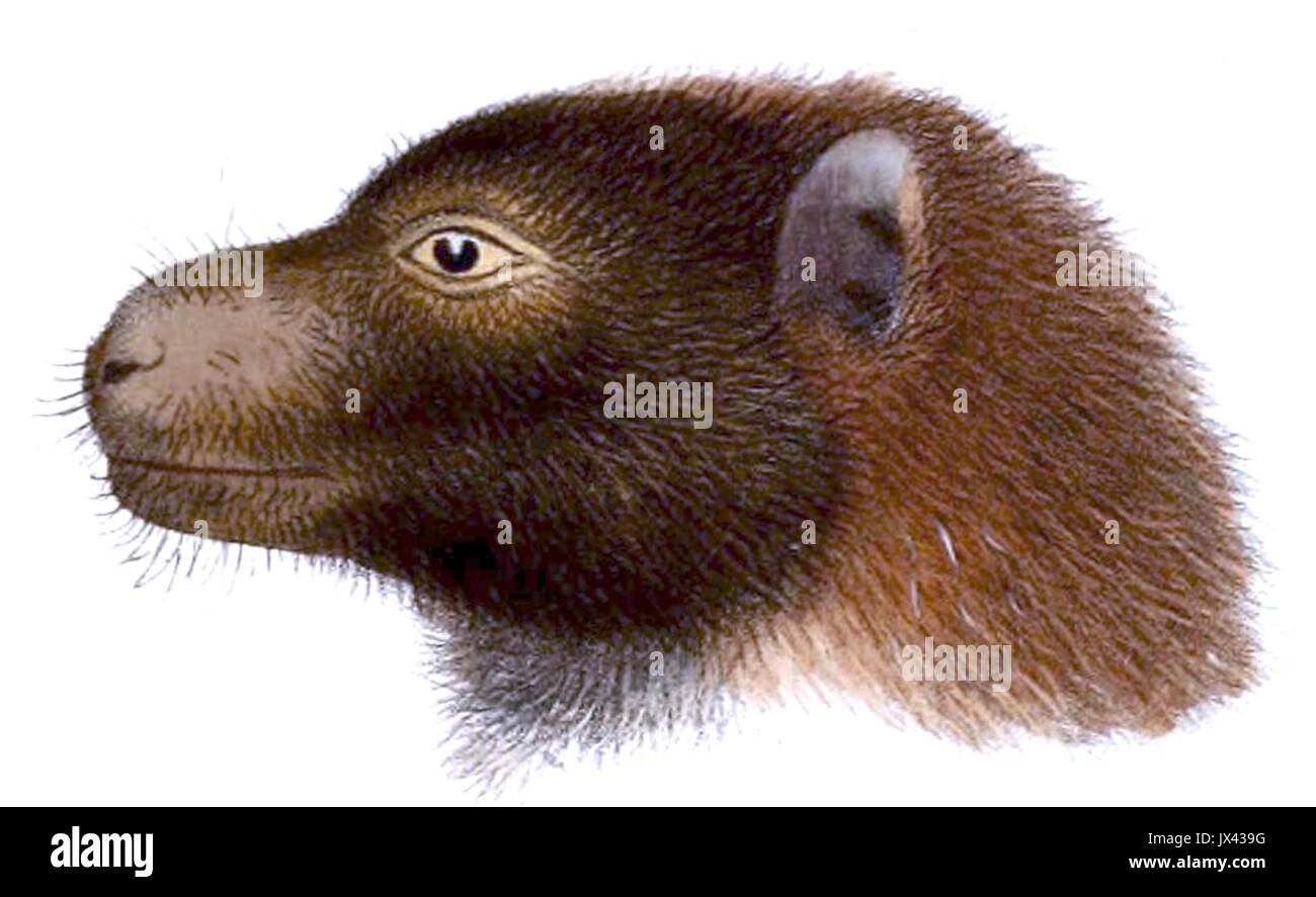 Proceedings 1 Cut Out Stock Images & Pictures - Alamy