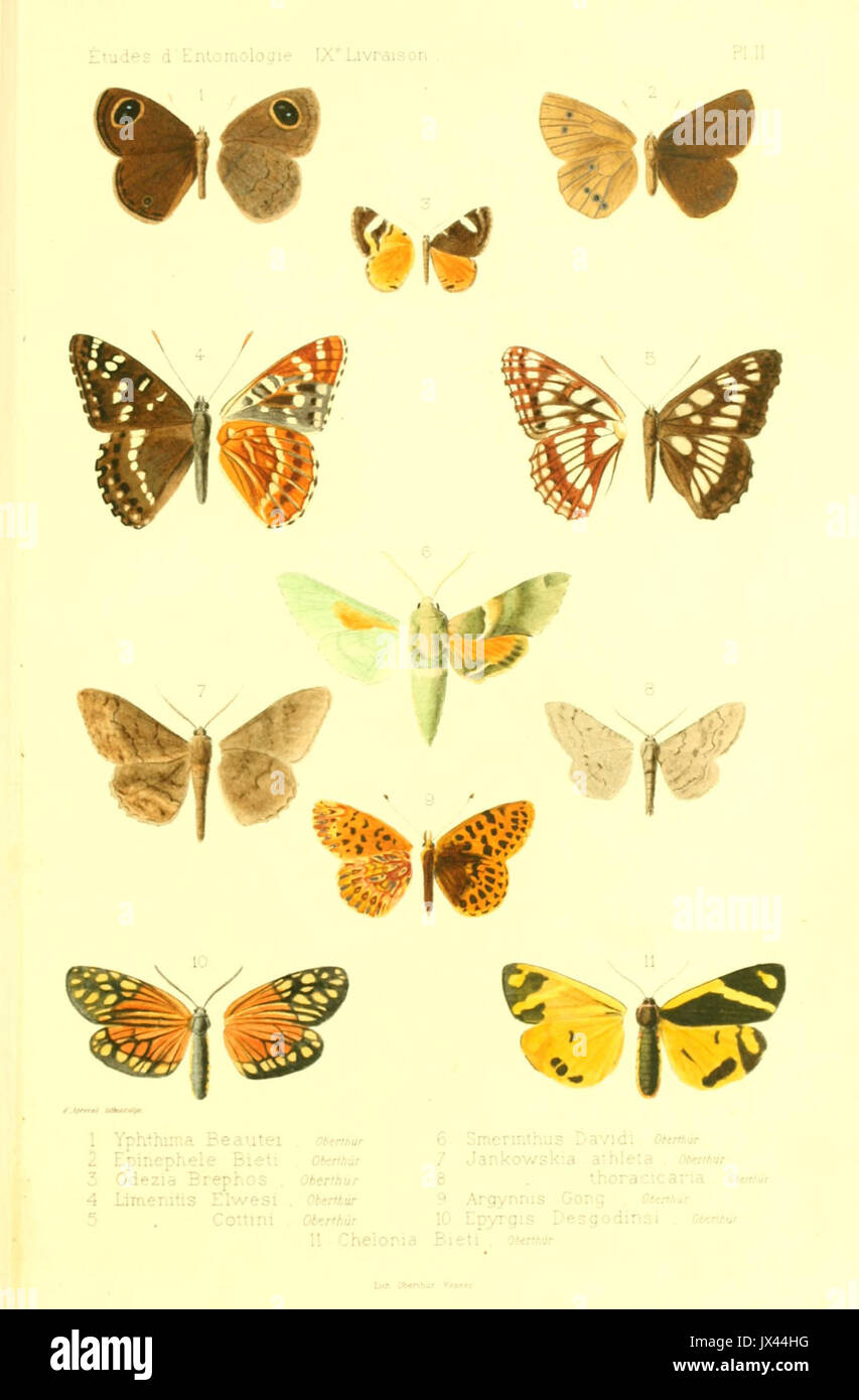 Oberthur hi-res stock photography and images - Alamy