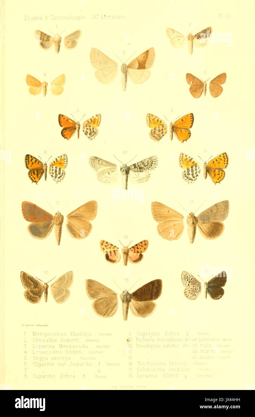 Oberthur hi-res stock photography and images - Alamy