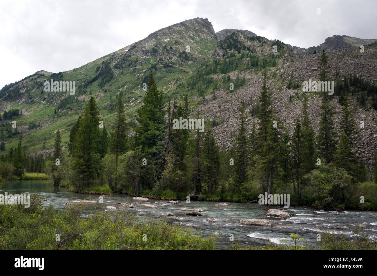 Small mountain river hi-res stock photography and images - Alamy