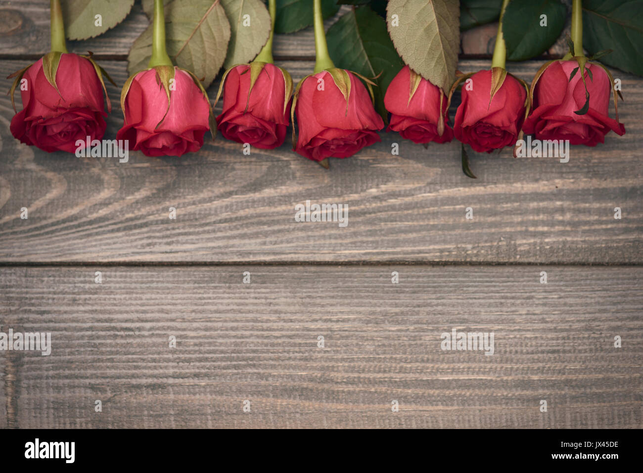 Frame of beautiful red roses Stock Photo - Alamy