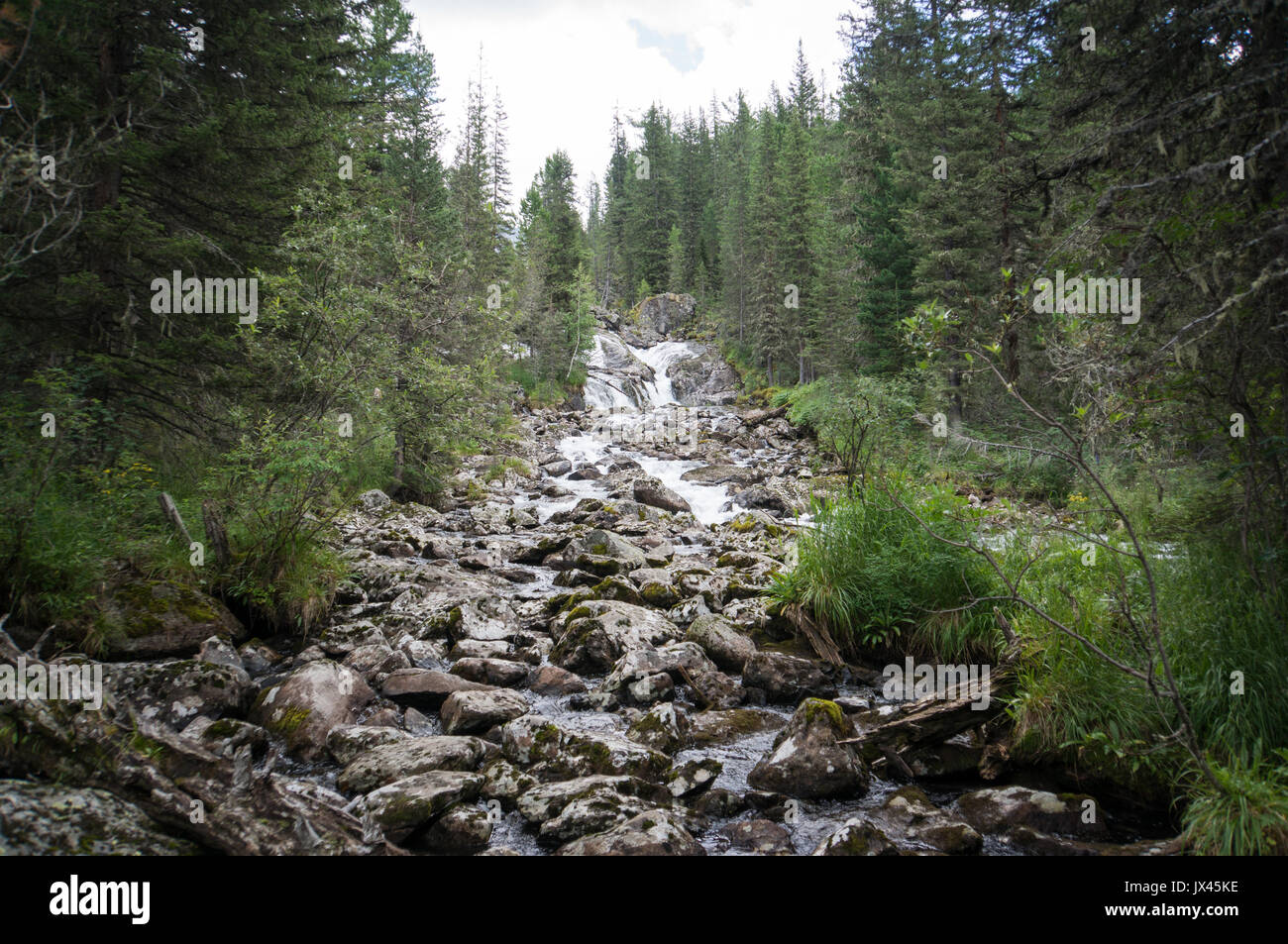 waterfall in forest of Altai mountains. Menka river, Aktash, Altay ...