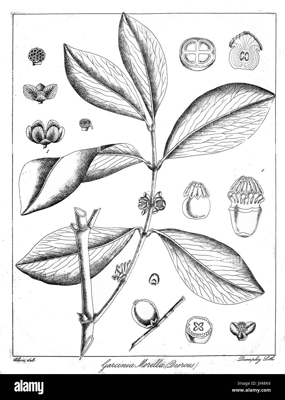 Map of morella hi-res stock photography and images - Alamy