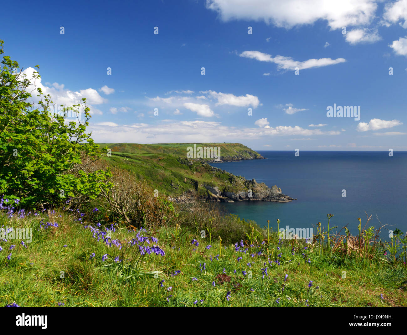 Looking towards Greeb and Dodman Point near Caerhays in Cornwall Stock ...