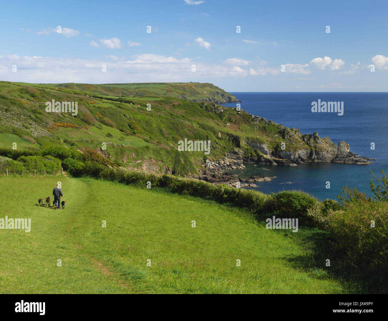Looking towards Greeb and Dodman Point near Caerhays in Cornwall Stock ...