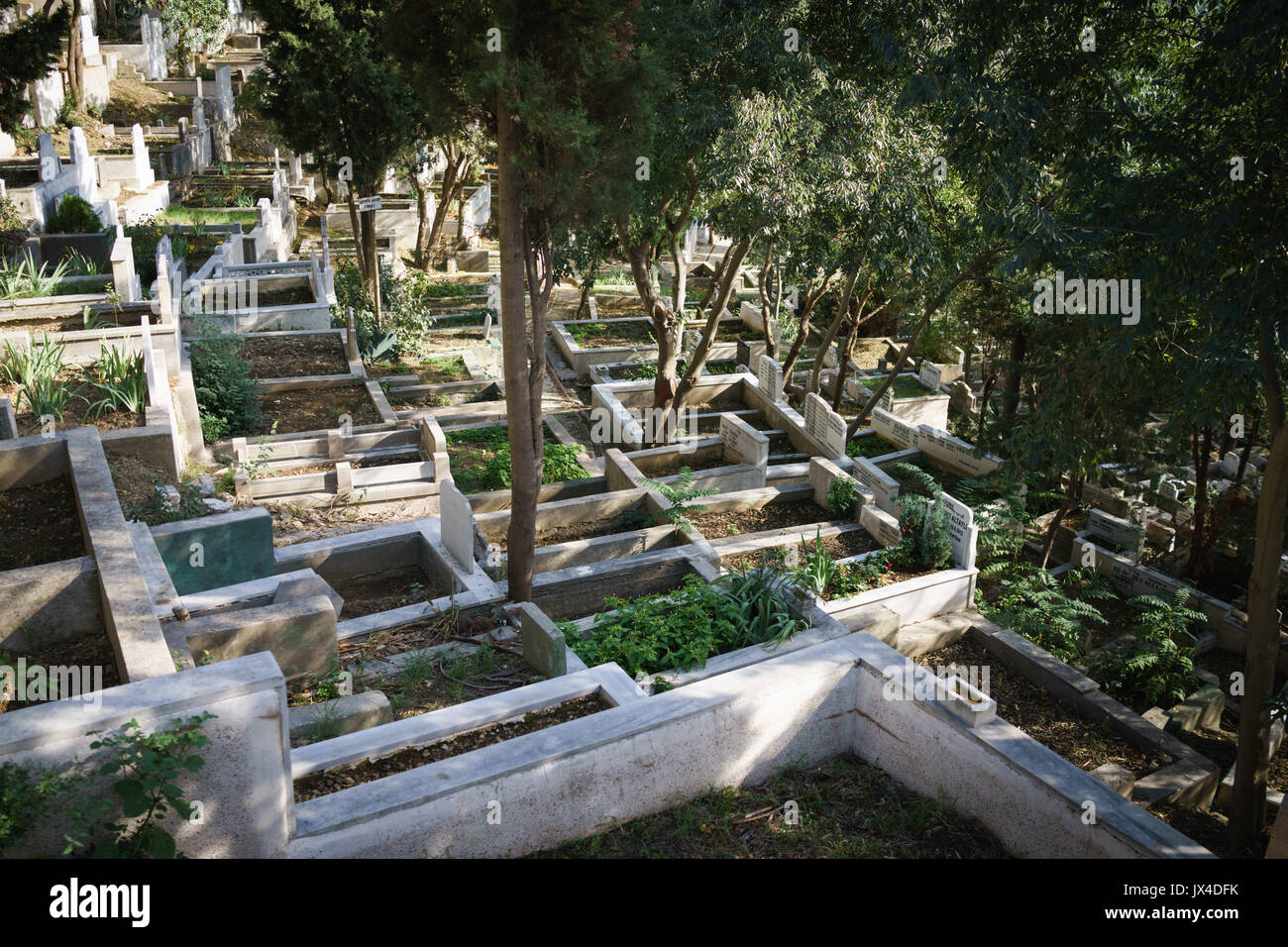 exploring a cemetery in Istanbul, Turkey Stock Photo - Alamy