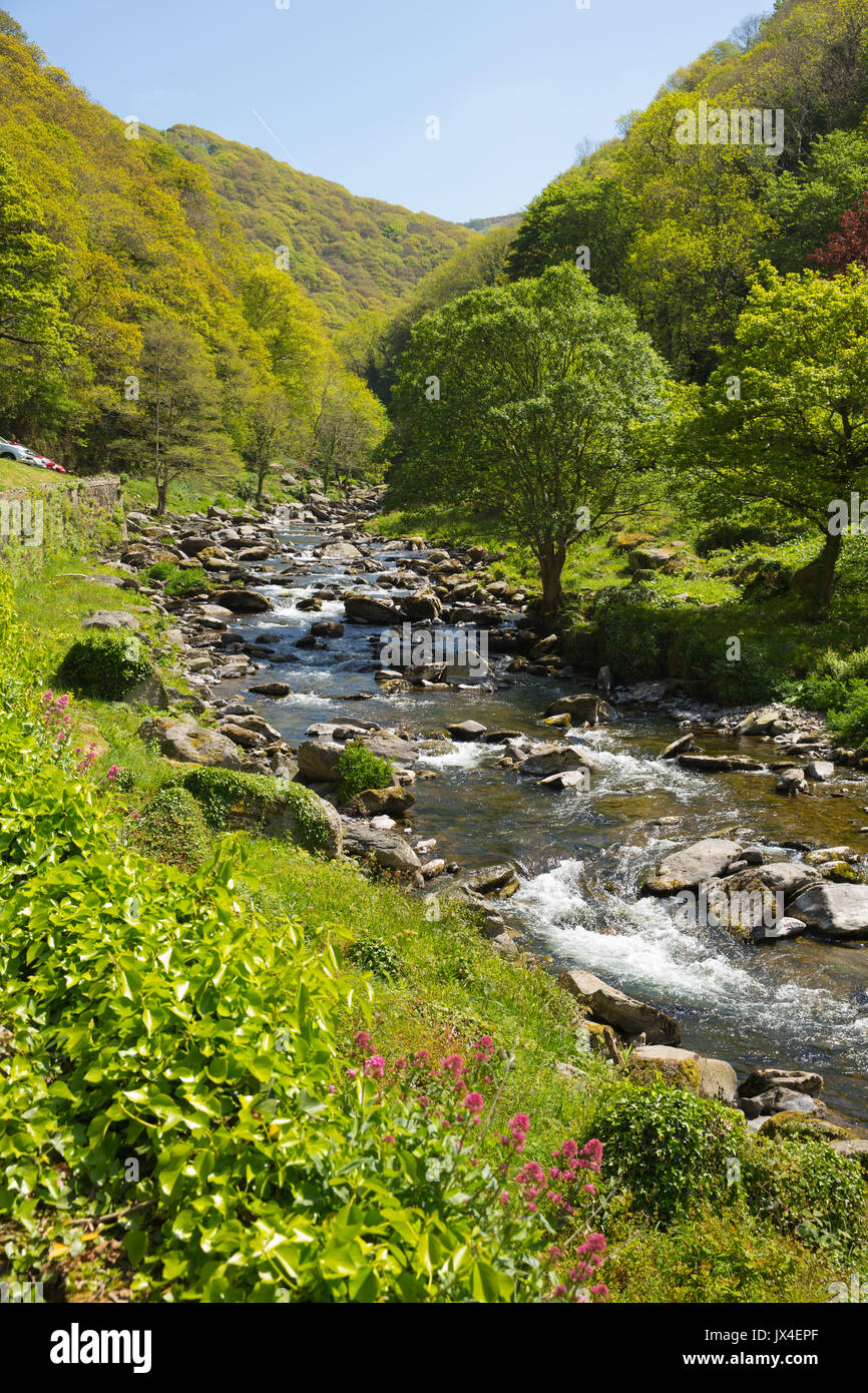Devon scenery hi-res stock photography and images - Alamy