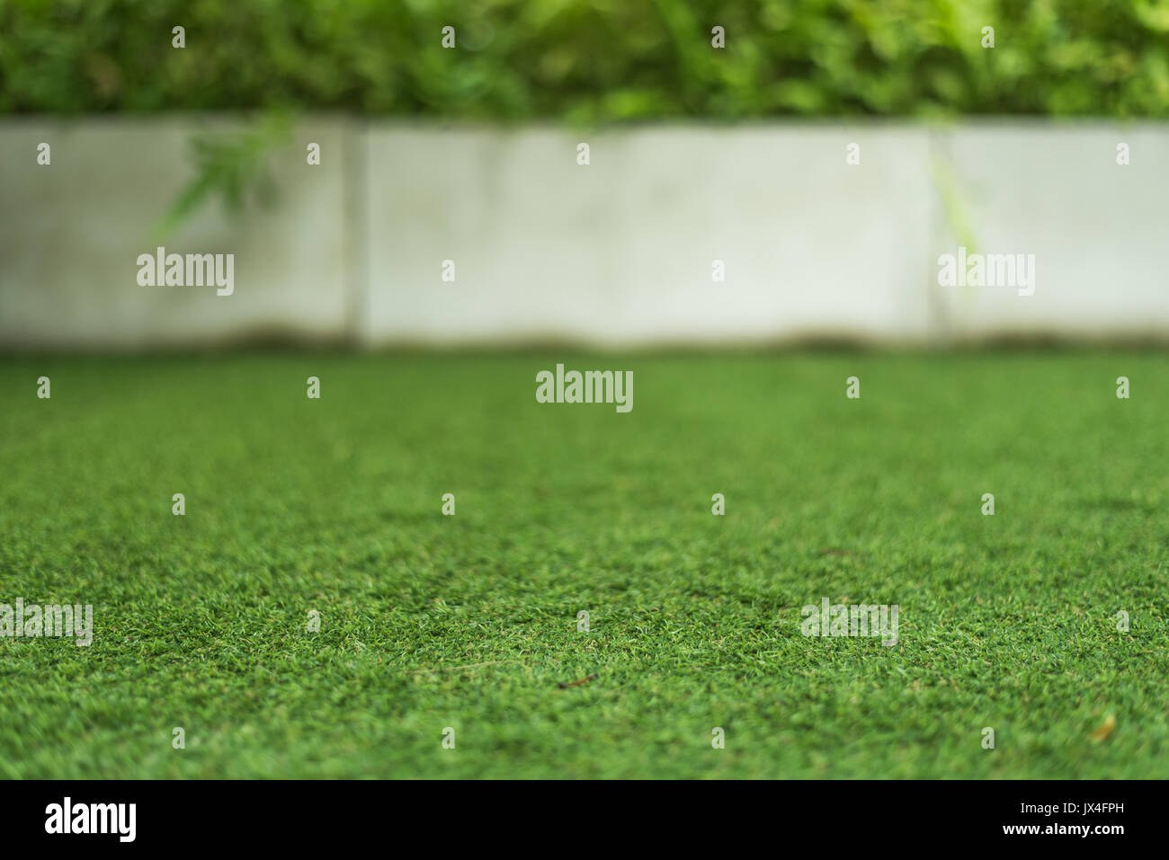 Green grass floor hi-res stock photography and images - Alamy