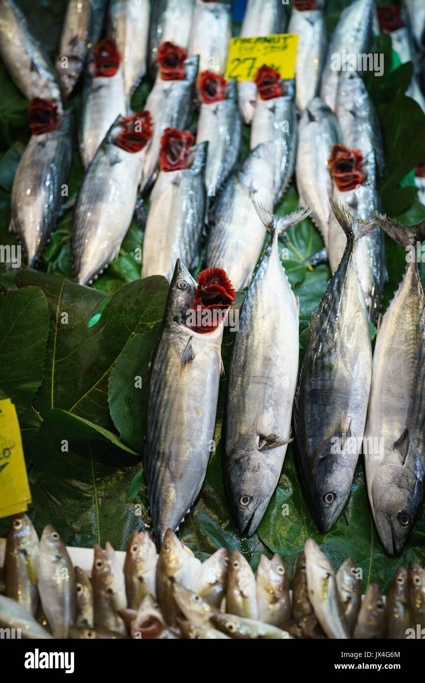 fish for sale at market in Istanbul, Turkey Stock Photo - Alamy