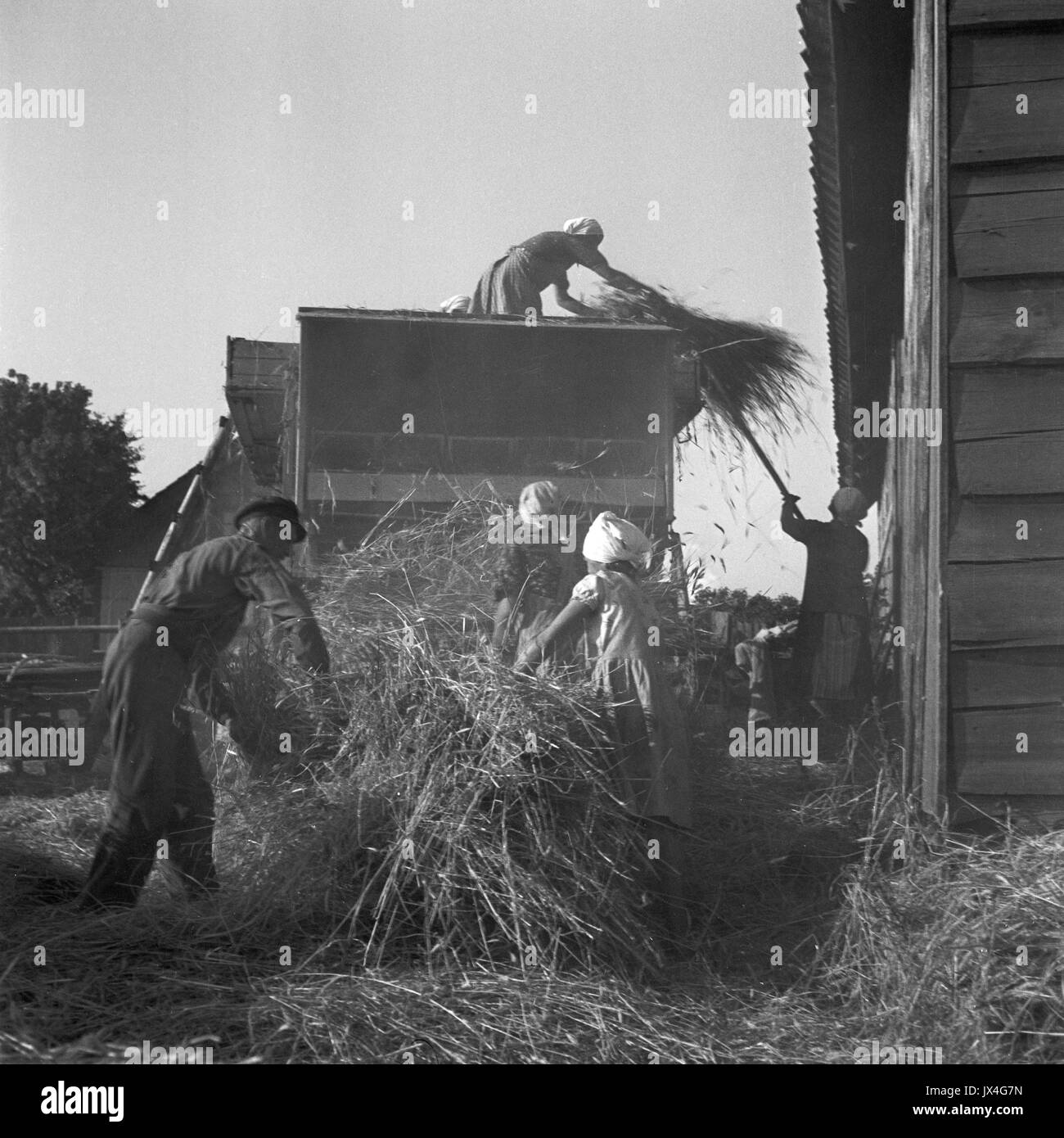 Farm Workers 1930s Stock Photos & Farm Workers 1930s Stock Images - Alamy
