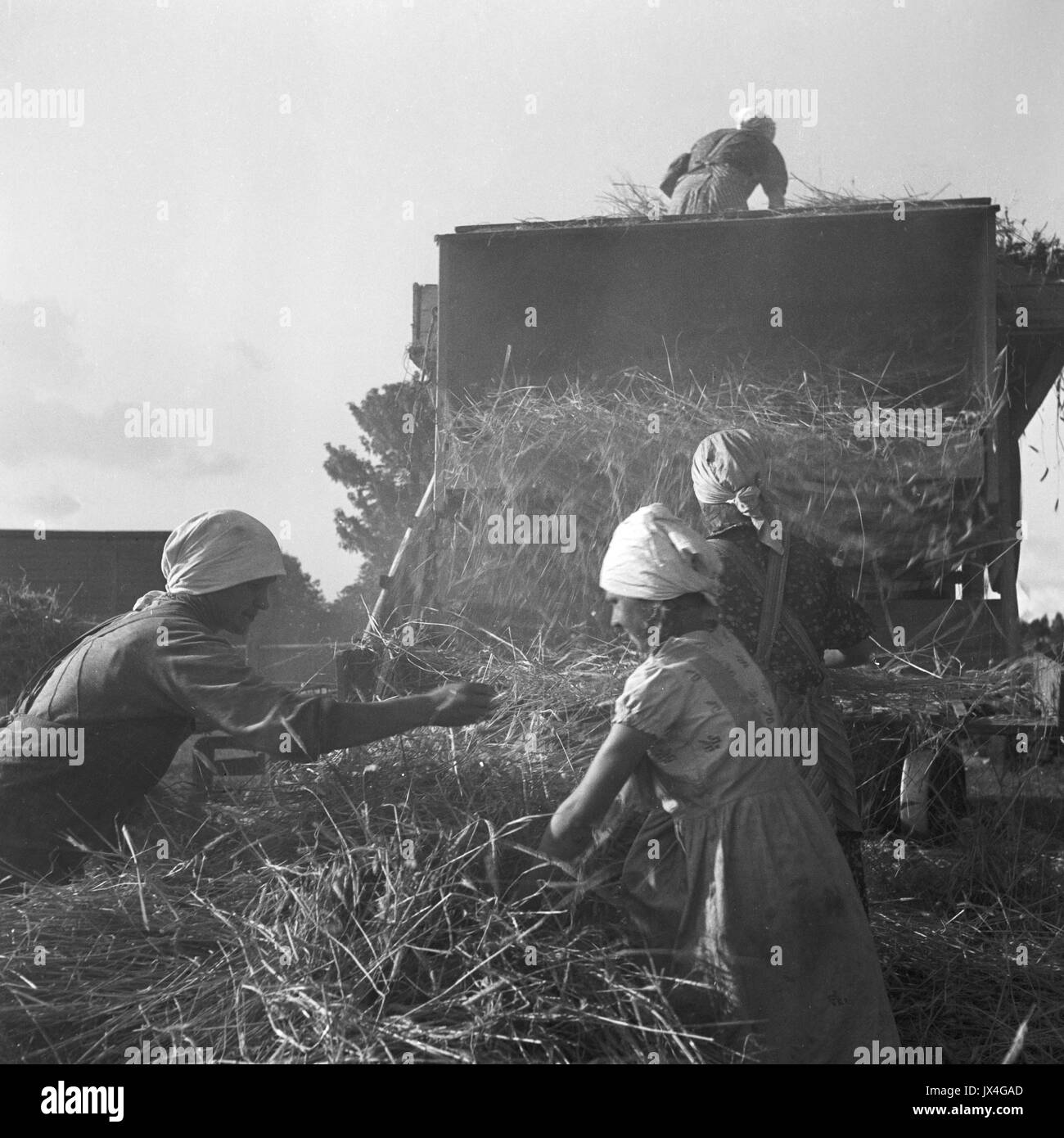 Threshing Black and White Stock Photos & Images - Alamy