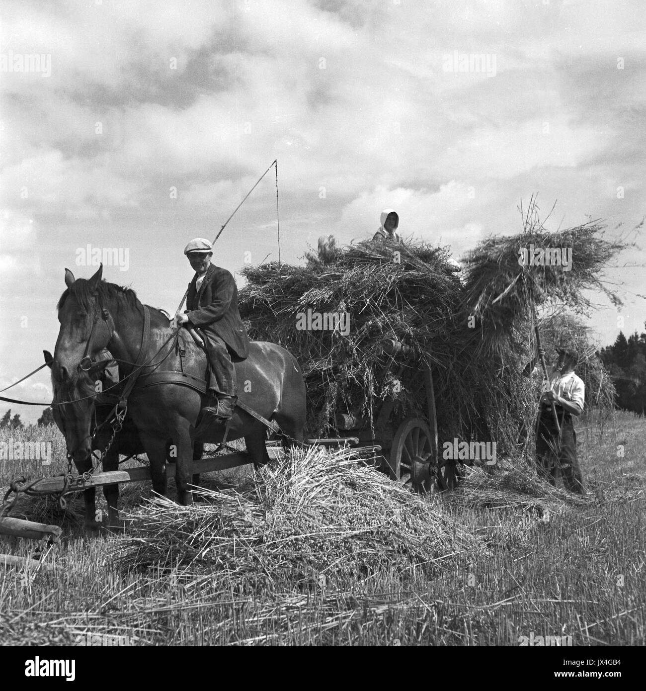 Farm Workers 1930s Stock Photos & Farm Workers 1930s Stock Images - Alamy