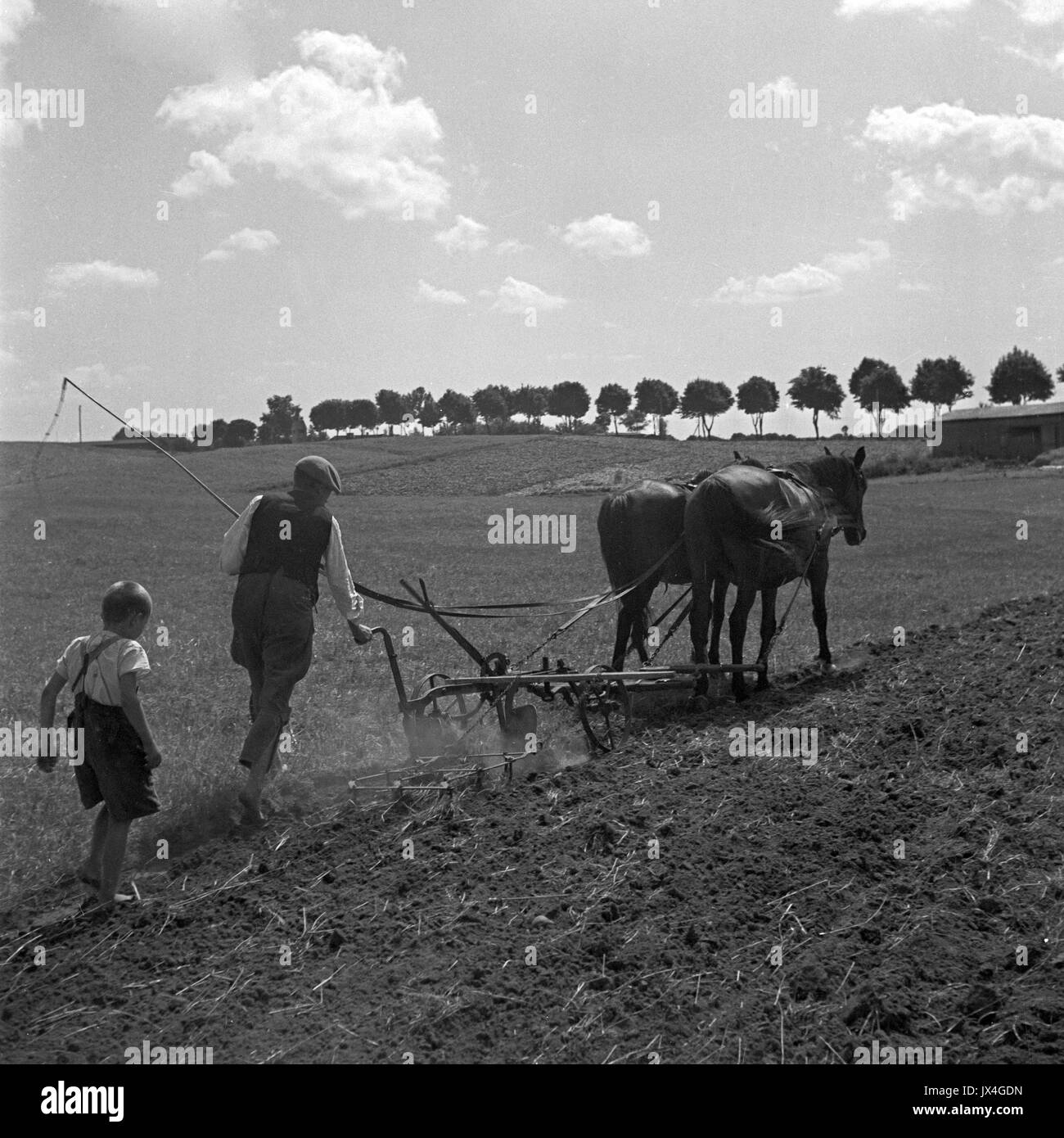 Man Plowing Black And White Stock Photos & Man Plowing Black And White ...