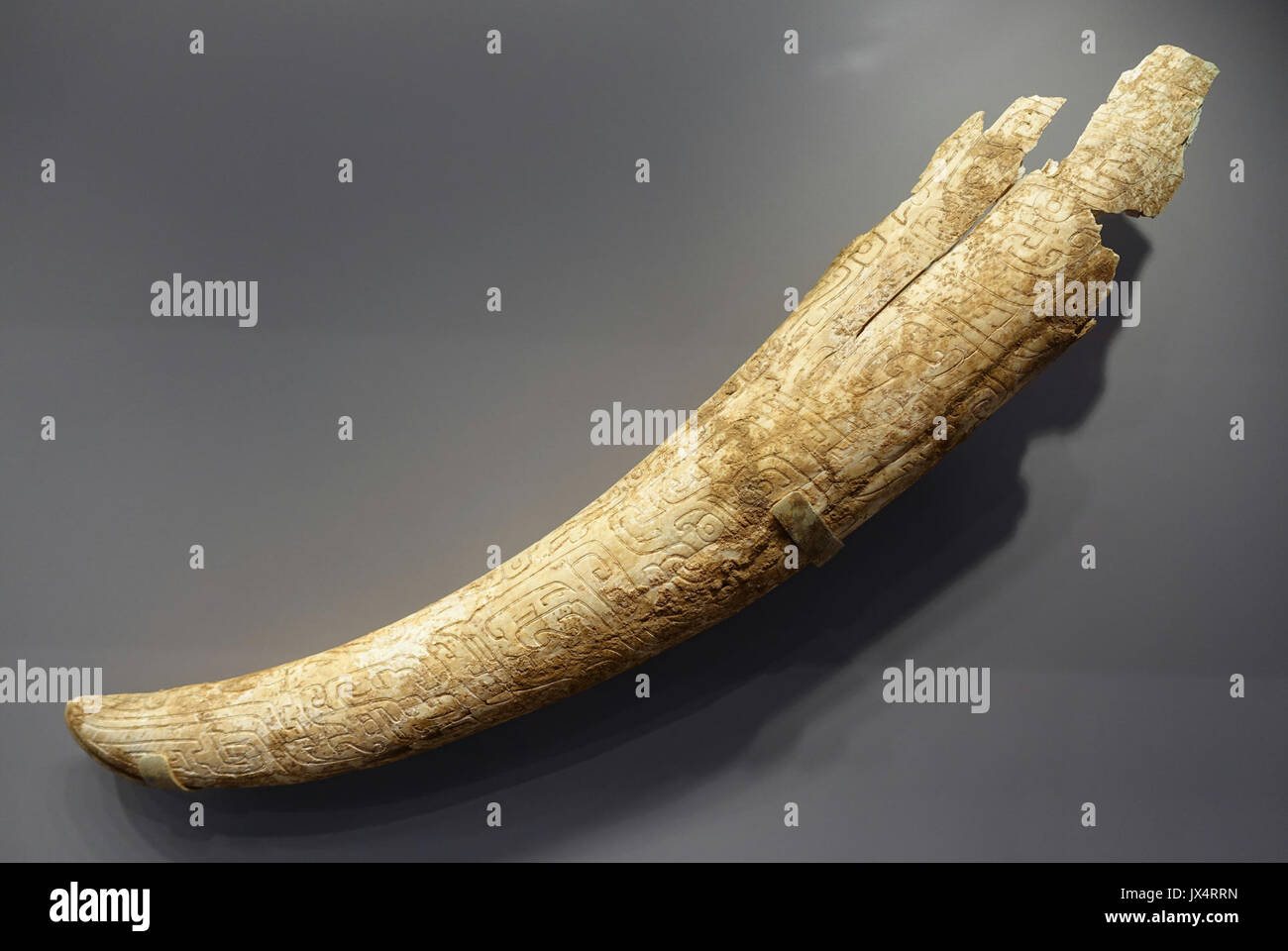 Elephant Tusk with Carved Decoration, China, Shang dynasty, 14th 11th ...