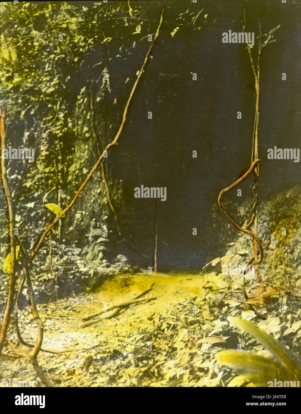 Remains of Long Juju Gorge, Arochuku , late 19th century (imp cswc GB ...