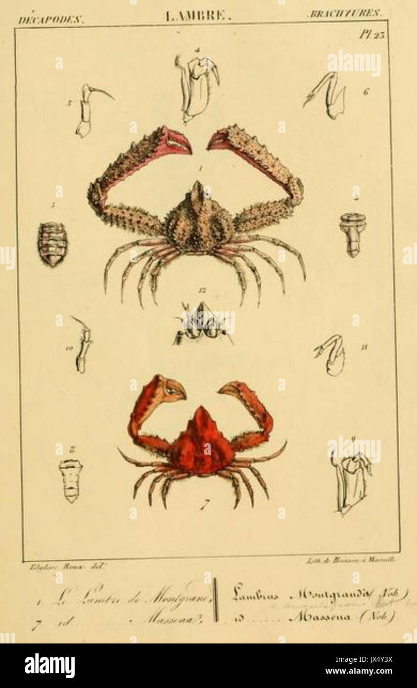 Parthénope hi-res stock photography and images - Alamy