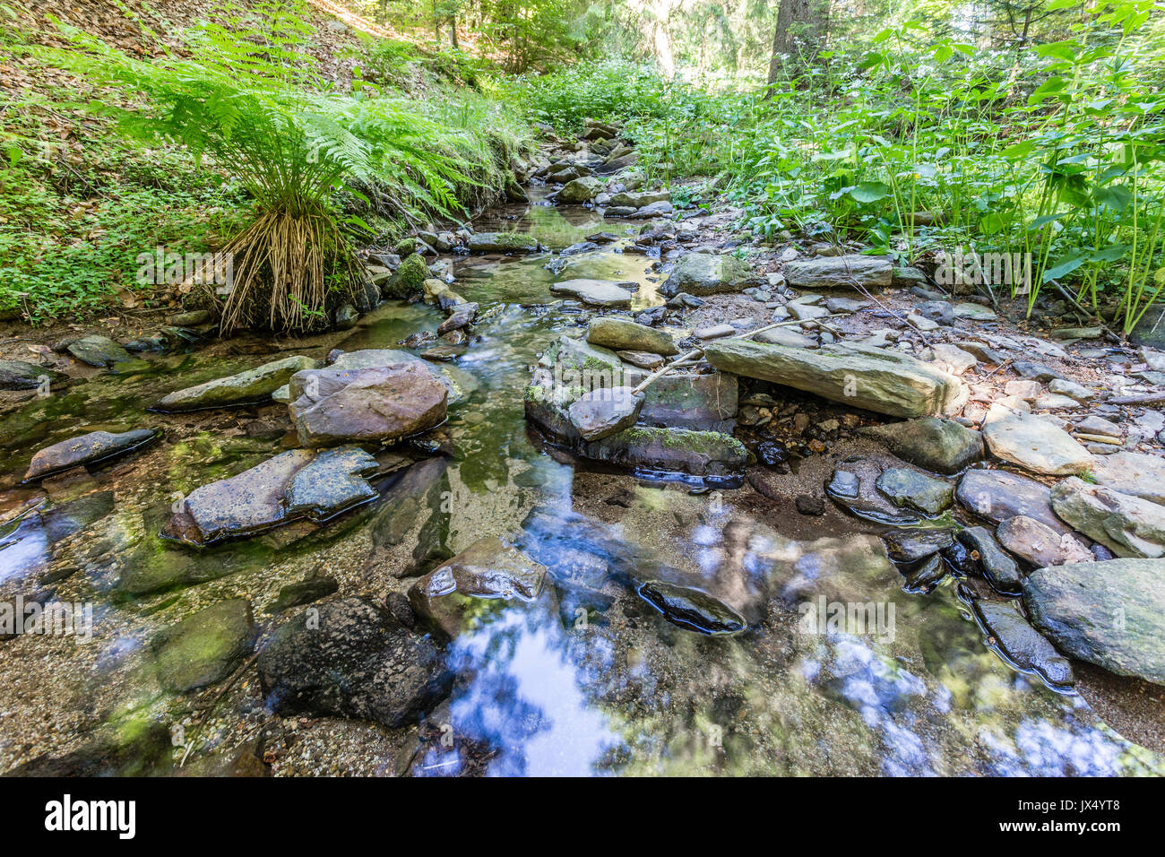 France, Ardeche, parc naturel regional des Monts d'Ardeche (Regional ...