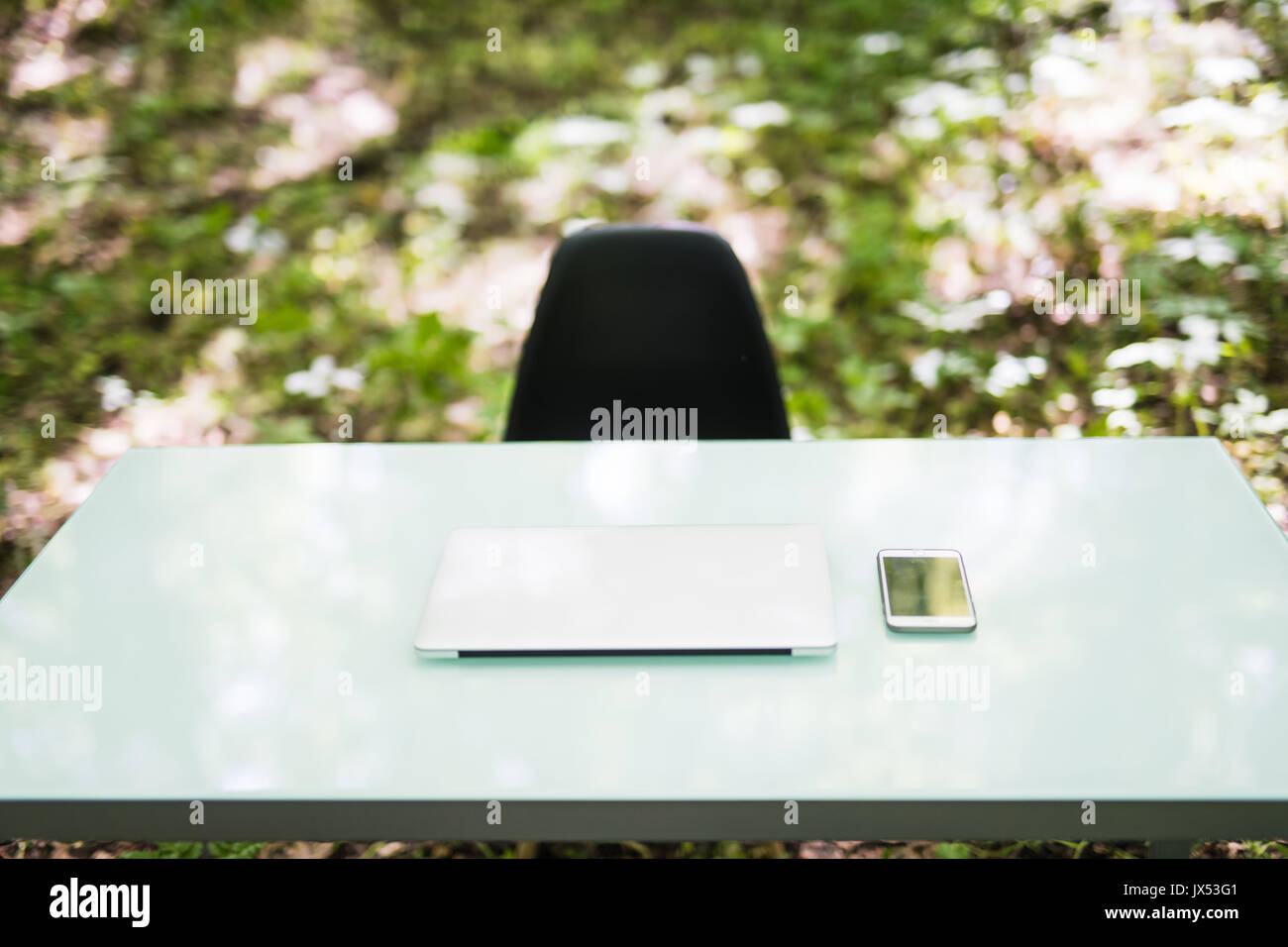 Business office desk in green forest. Business Stock Photo - Alamy