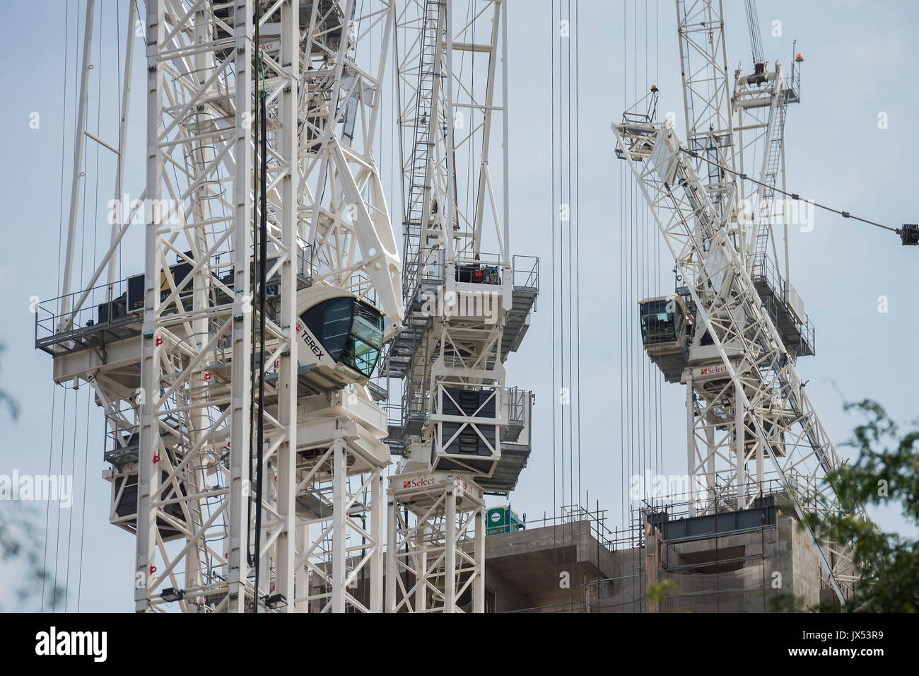 Cranes crowd round the Shell centre construction site Stock Photo - Alamy