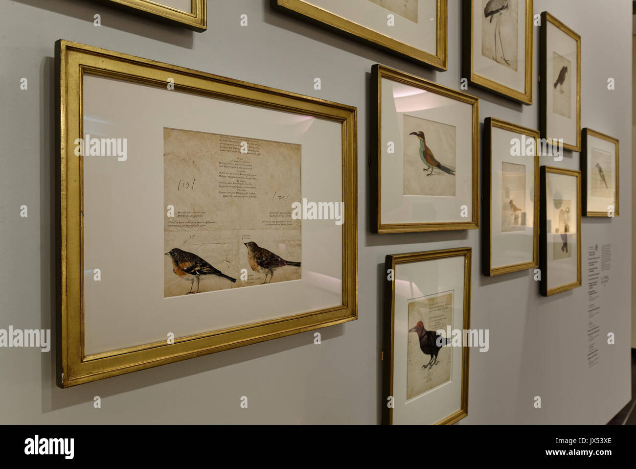 Mba degree hi-res stock photography and images - Alamy