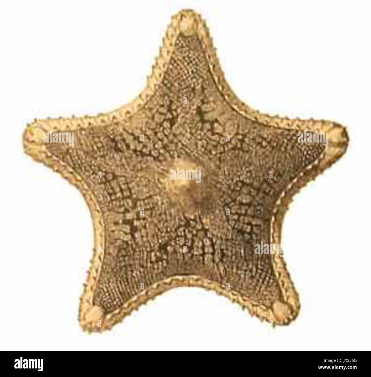 Side c Cut Out Stock Images & Pictures - Alamy