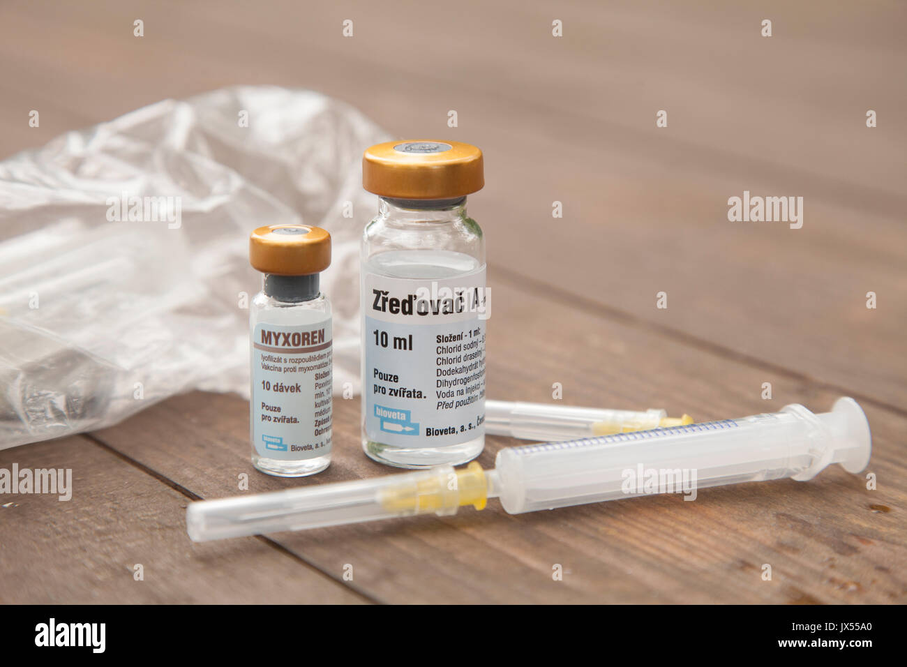 Vaccination with injection for animals. Myxoren. Injection cannula ...