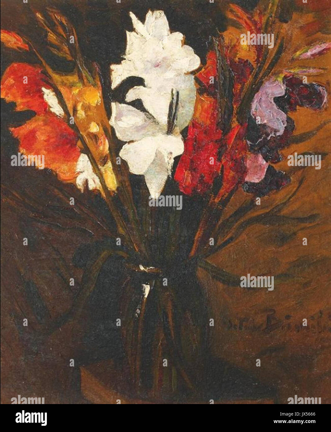 Octav Bancila Gladiole imperiale Stock Photo - Alamy