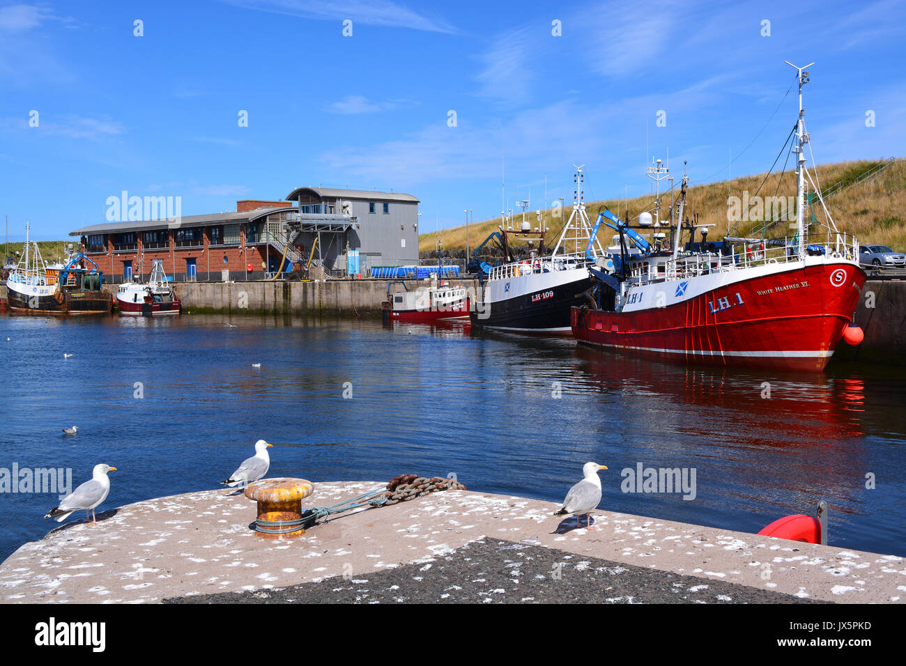 Boats at Eyemouth Harbour Stock Photo - Alamy