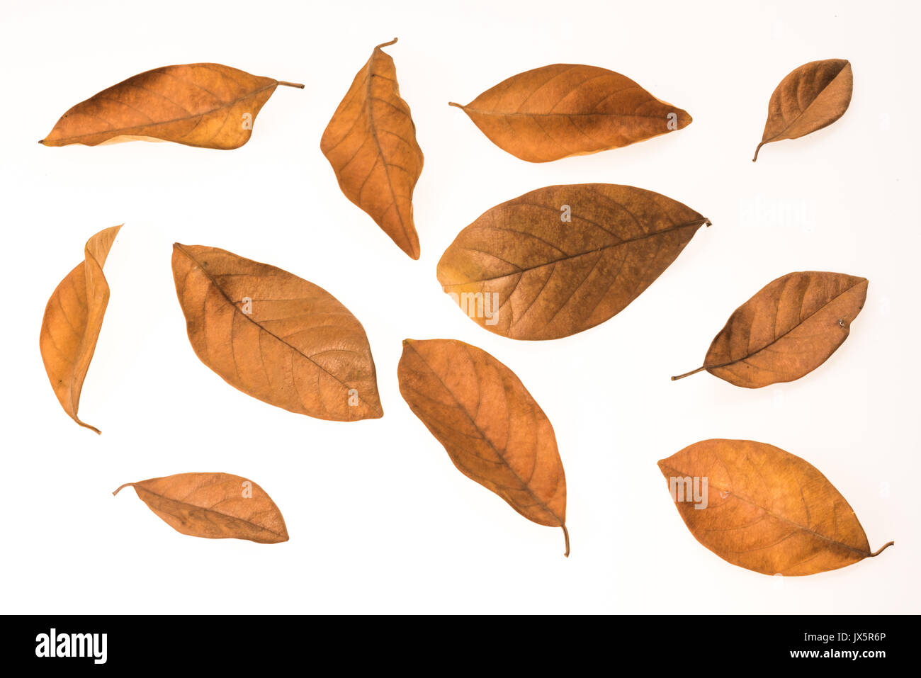 Size varies hi-res stock photography and images - Alamy